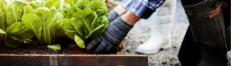 5 Gardening Safety Tips You Need to Know | Baptist Health